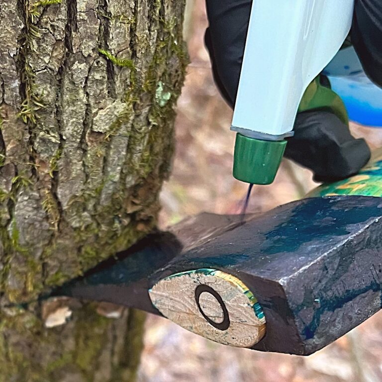 How To Hack And Squirt Sweetgum Trees - Imazapyr or Arsenal